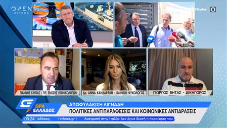 Τα video της θεματικής ενότητας: ΑΝΝΑ ΚΑΝΔΑΡΑΚΗ | WEBTV | OPEN