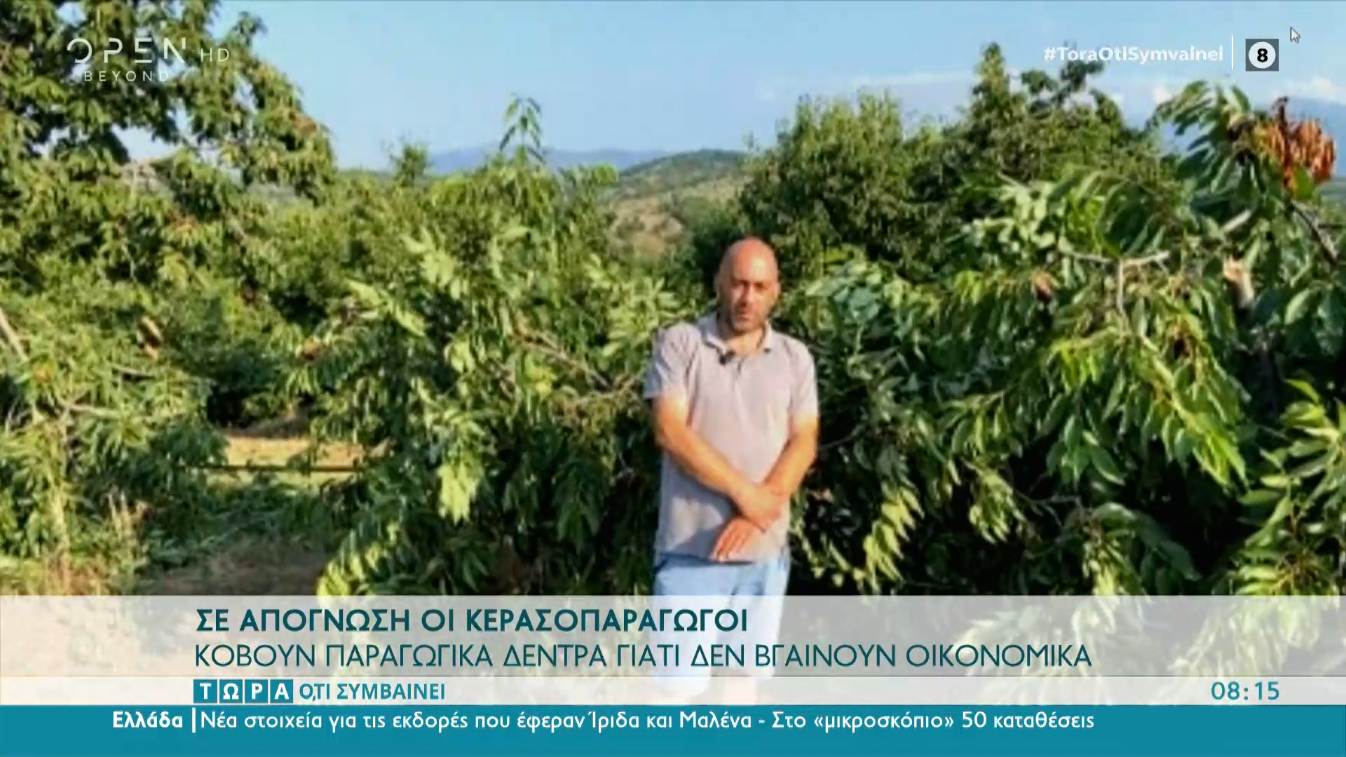 Σε απόγνωση οι κερασοπαραγωγοί: Κόβουν τα δέντρα τους | OPEN TV