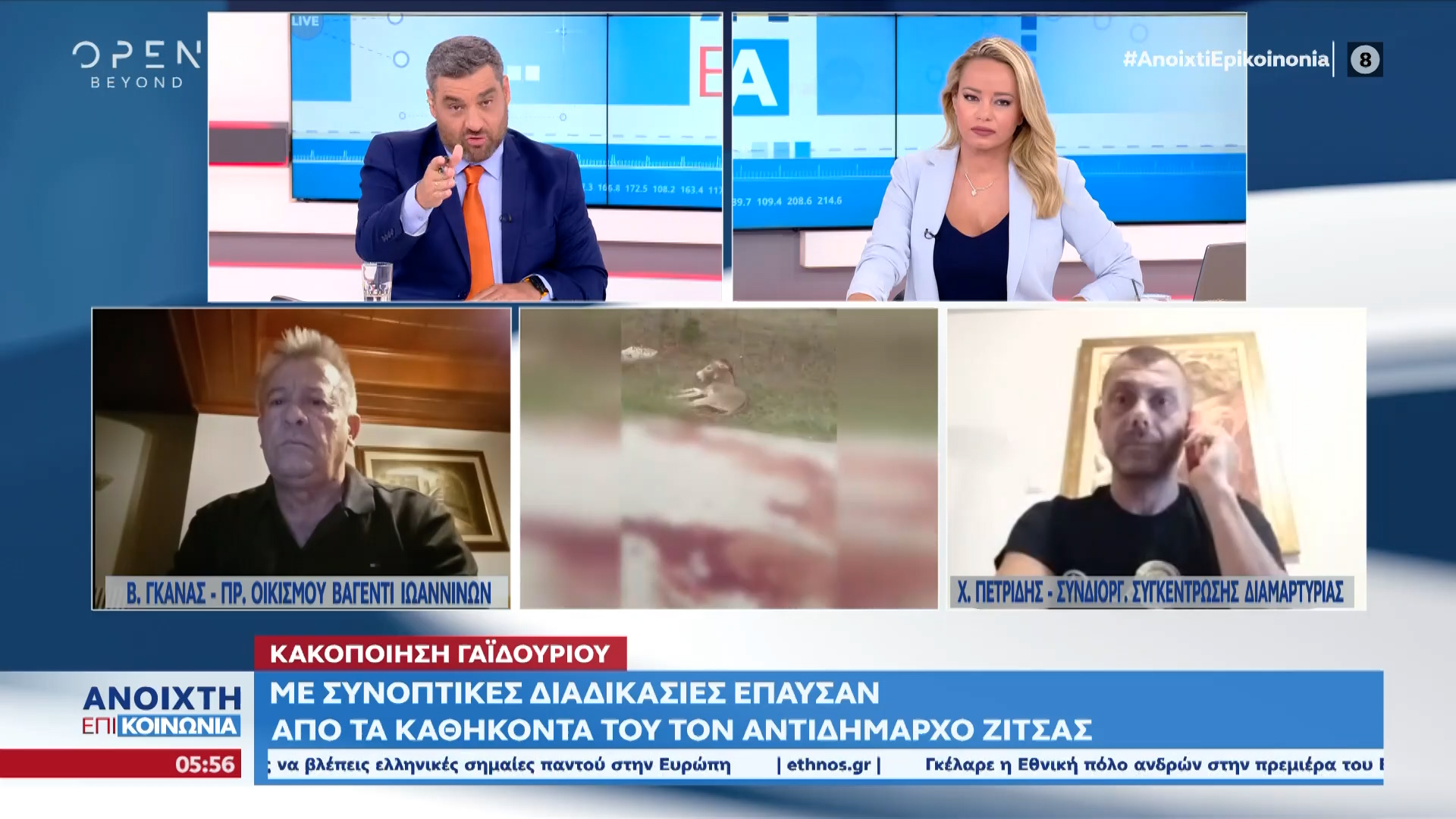 Συγκέντρωση διαμαρτυρίας στο Σύνταγμα για την κακοποίηση του γαϊδουριού ...
