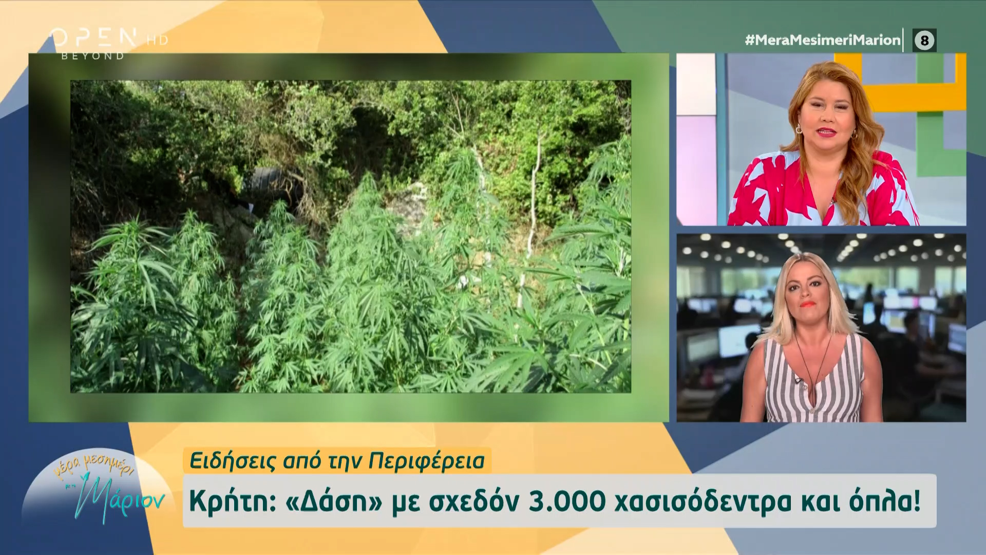 Κρήτη: «Δάση» με σχεδόν 3.000 χασισόδεντρα και όπλα | OPEN TV