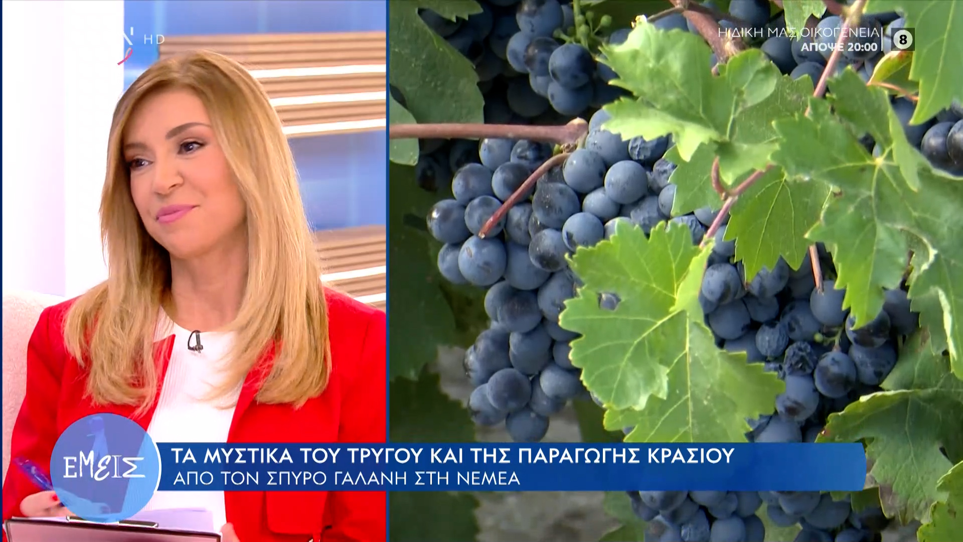 Τα μυστικά του τρύγου και της παραγωγής κρασιού | OPEN TV
