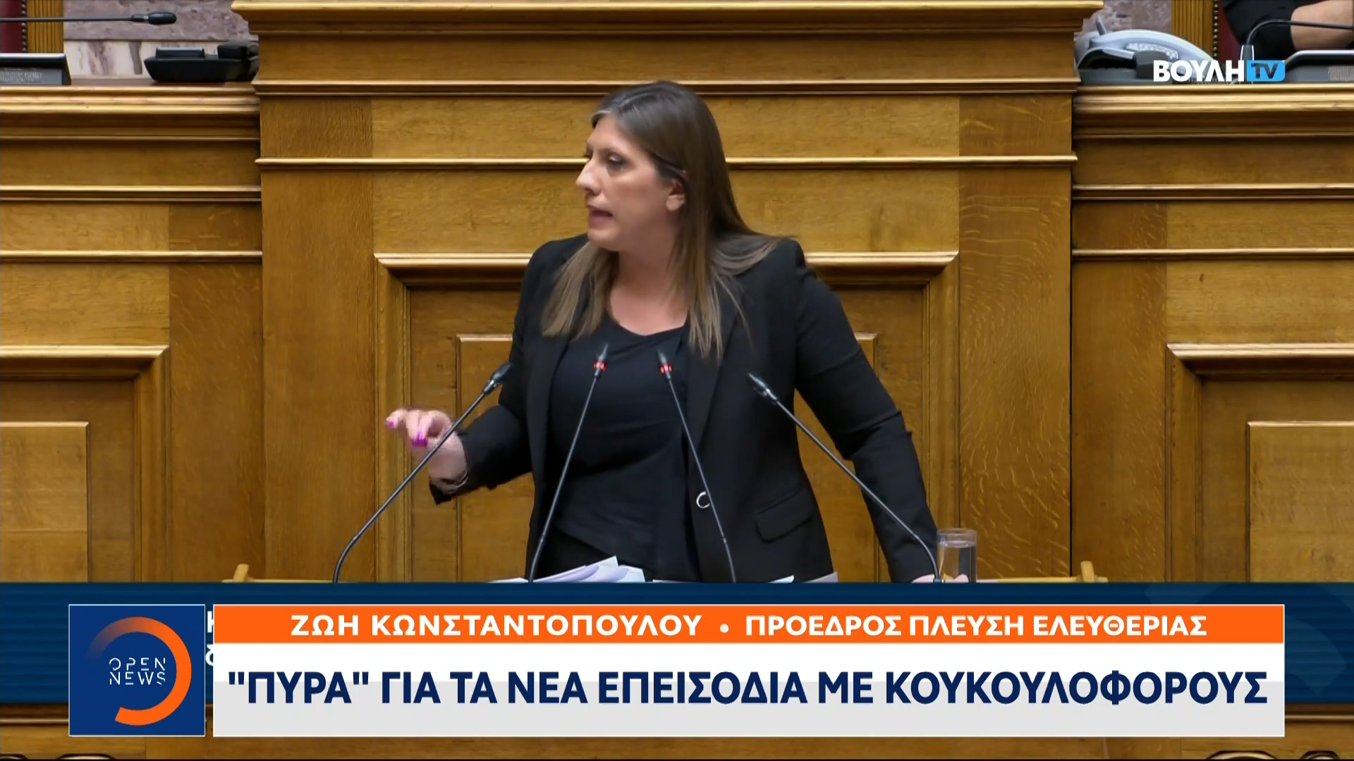 Ζωή Κωνσταντοπούλου: «Πυρά» για τα νέα επεισόδια με κουκουλοφόρους ...