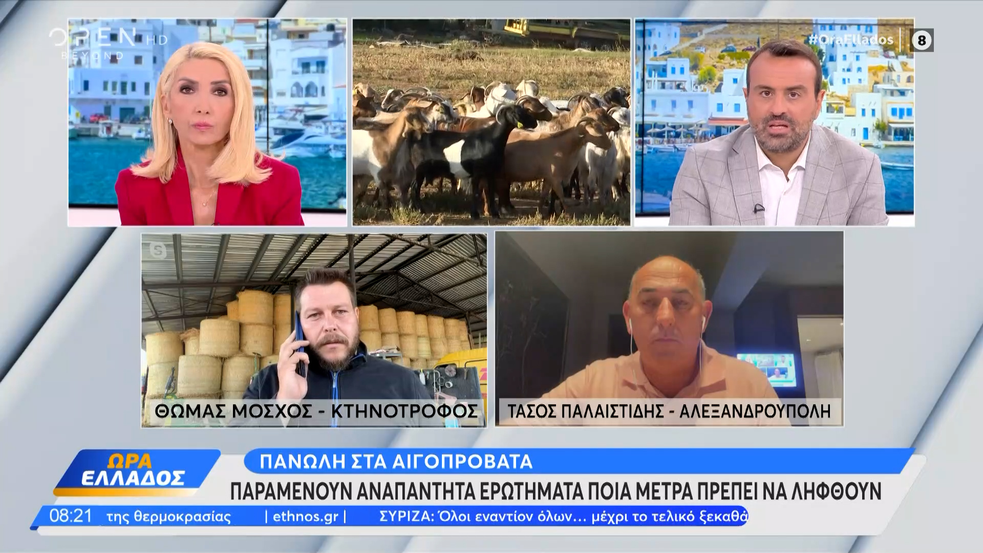 Σύλλογος ελληνικής κτηνοτροφίας: Σήμερα η συνάντηση όλων των φορέων ...