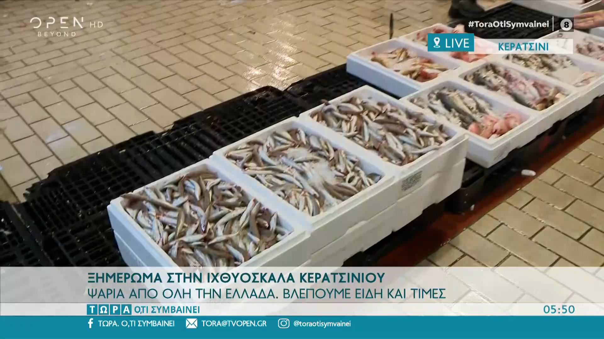Ξημερώματα στην ιχθυόσκαλα Κερατσινίου - Υπάρχουν 110 επιχειρήσεις ...