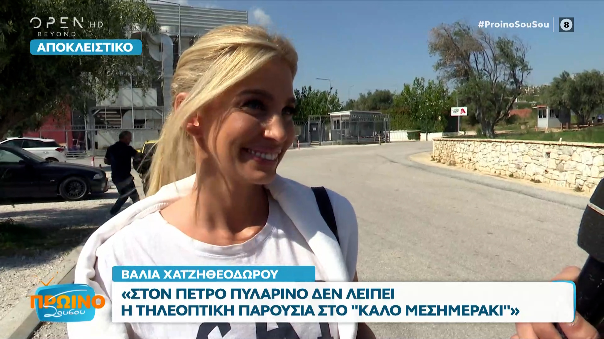 Β. Χατζηθεοδώρου: Δεν σκεφτόμαστε ακόμη να κάνουμε το επόμενο βήμα στη ...