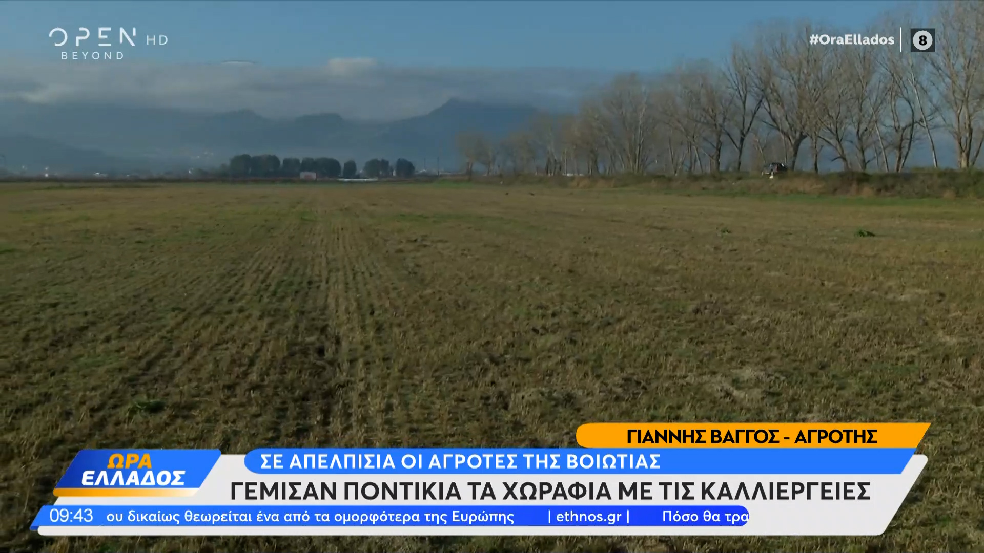 Βοιωτία: Γέμισαν ποντίκια τα χωράφια με τις καλλιέργειες | OPEN TV