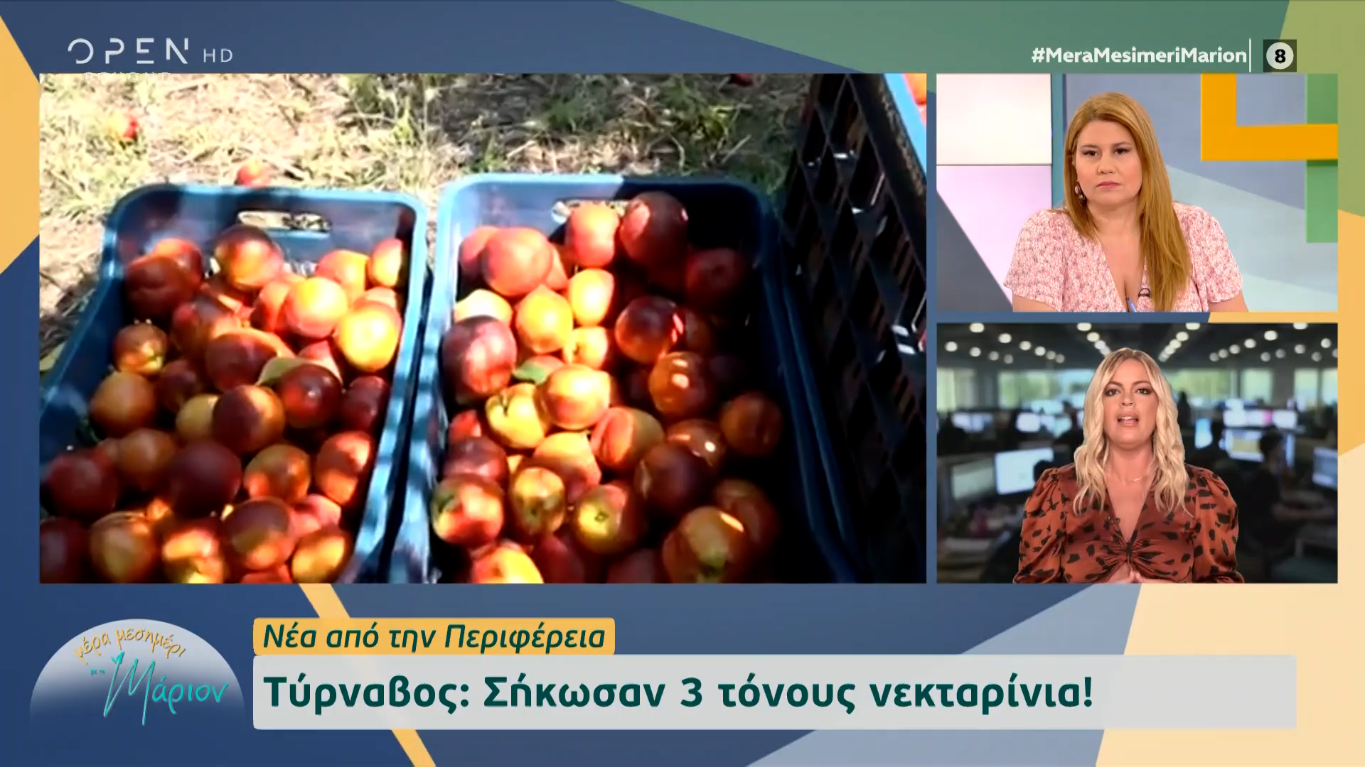Τύρναβος: Σήκωσαν 3 τόνους νεκταρίνια! | OPEN TV