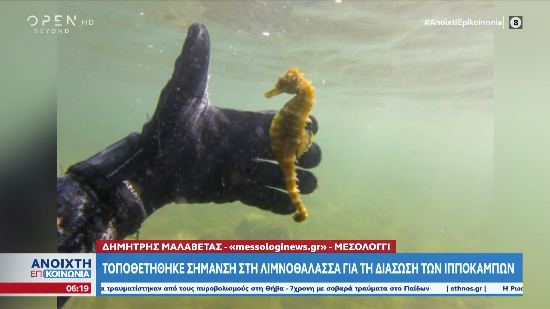 Τοποθετήθηκε σήμανση στη λιμνοθάλασσα Μεσολογγίου για τη διάσωση των ...