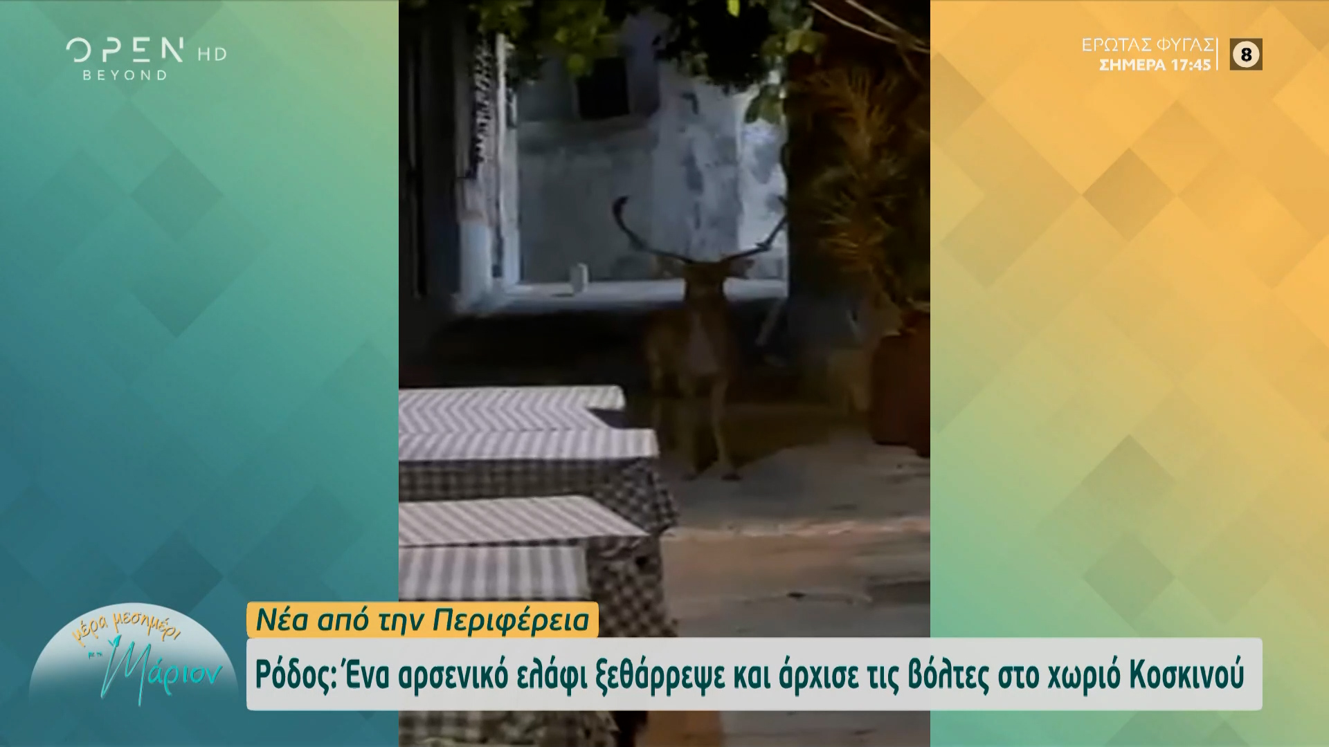Ρόδος: Ένα ελάφι έκανε βόλτες στο χωριό Κοσκινού | OPEN TV