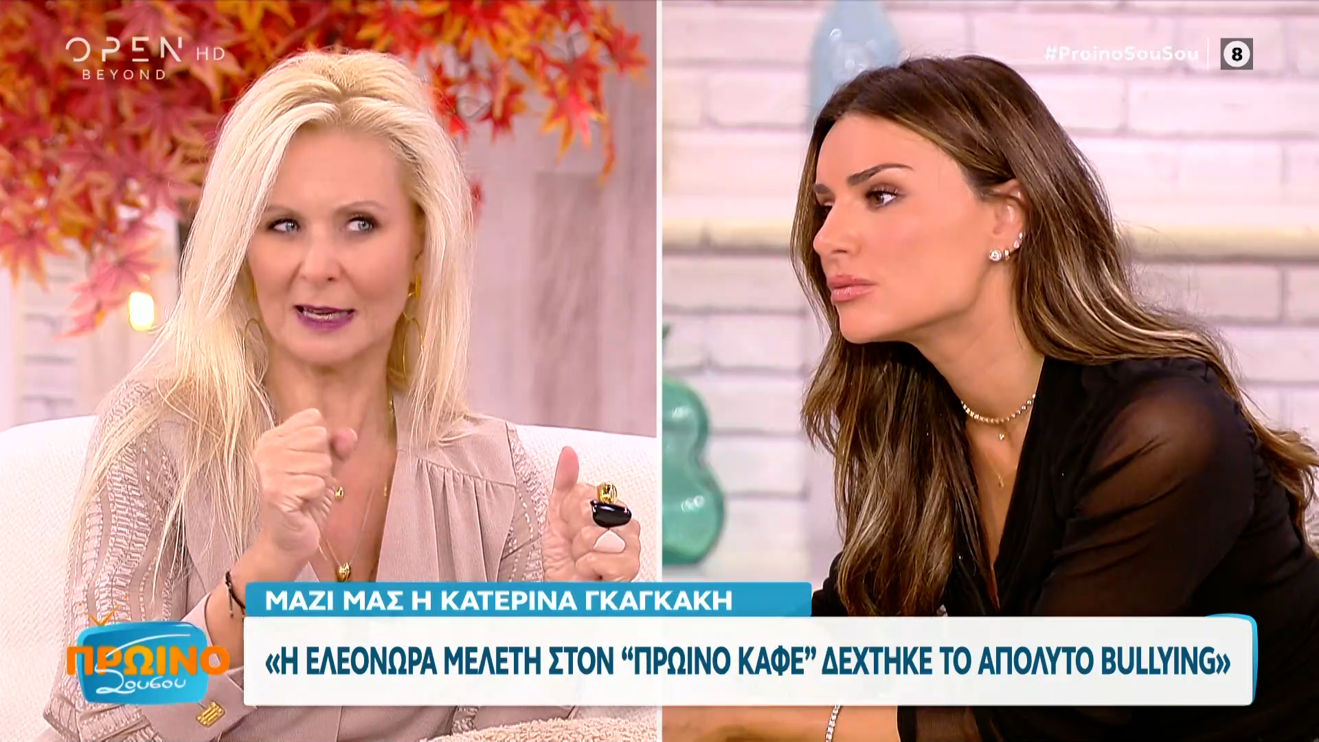 Κατ. Γκαγκάκη: Ασκήθηκε το απόλυτο bullying στην Ελ. Μελέτη στον Πρωινό ...