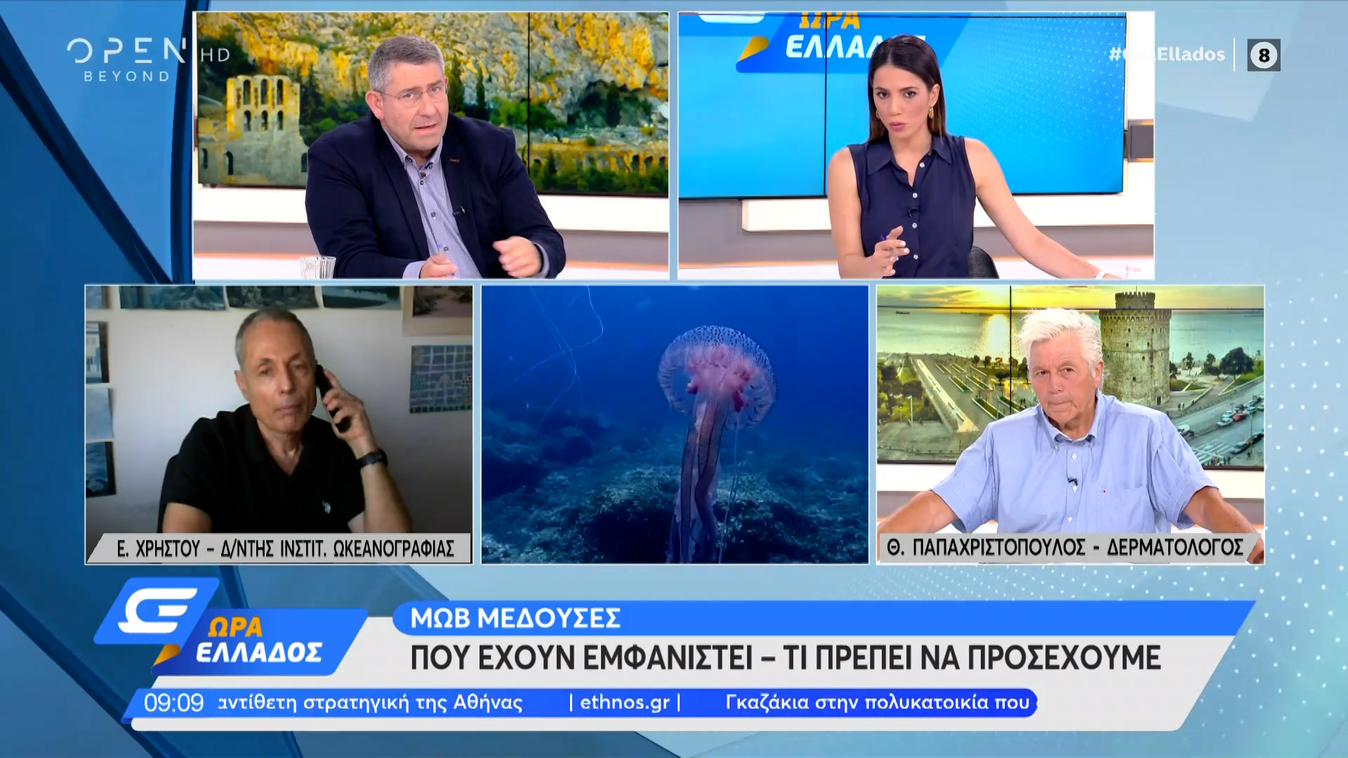 Δ/ντης Ινστιτ. Ωκεανογραφίας και Θ. Παπαχριστόπουλος για τις μωβ ...