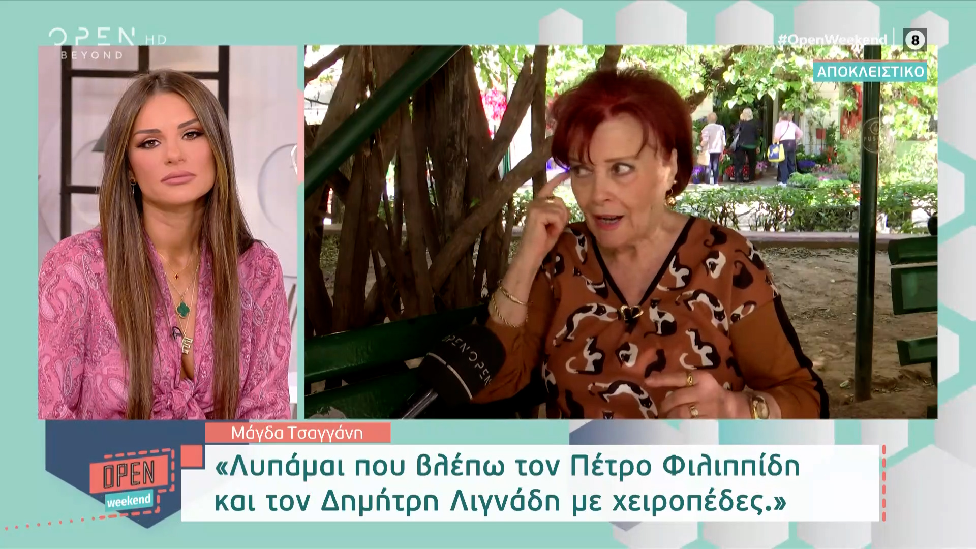 Μάγδα Τσαγγάνη: Λυπάμαι που βλέπω τον Πέτρο Φιλιππίδη και τον Δημήτρη ...