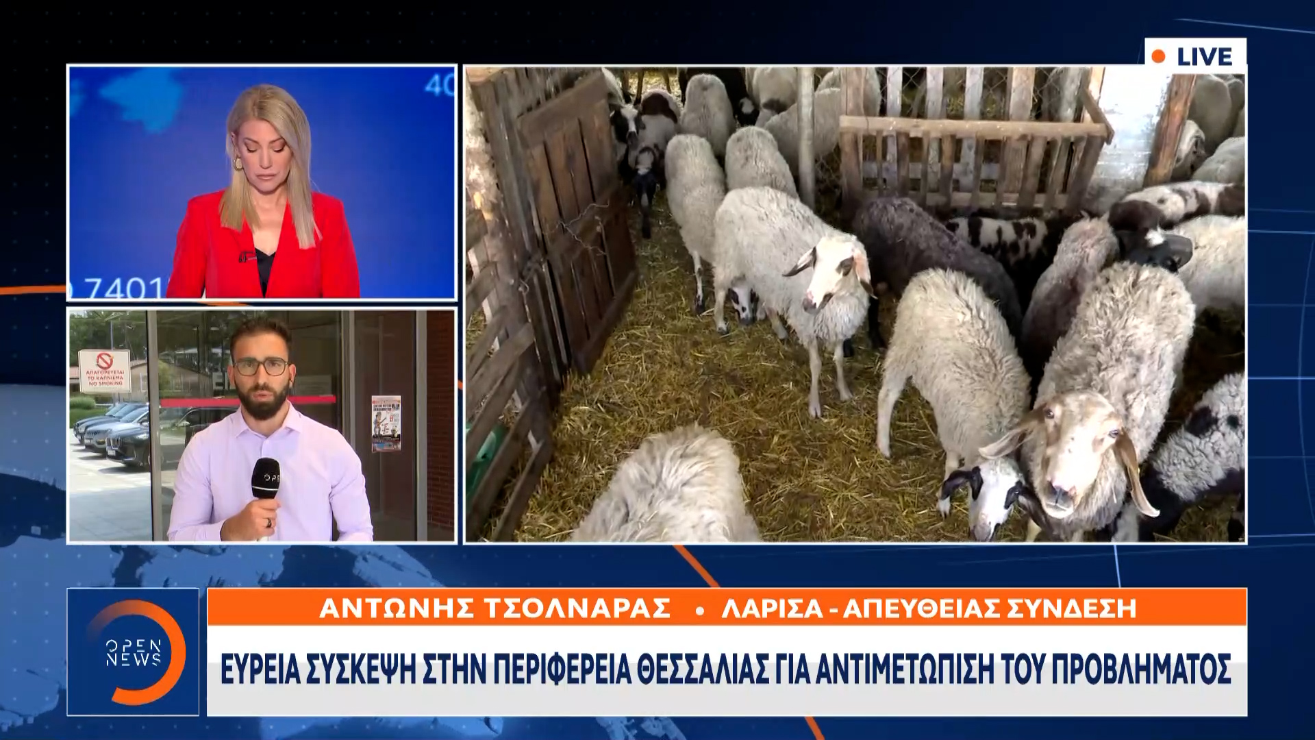 Συναγερμός στη Θεσσαλία για την πανώλη των αιγοπροβάτων | OPEN TV