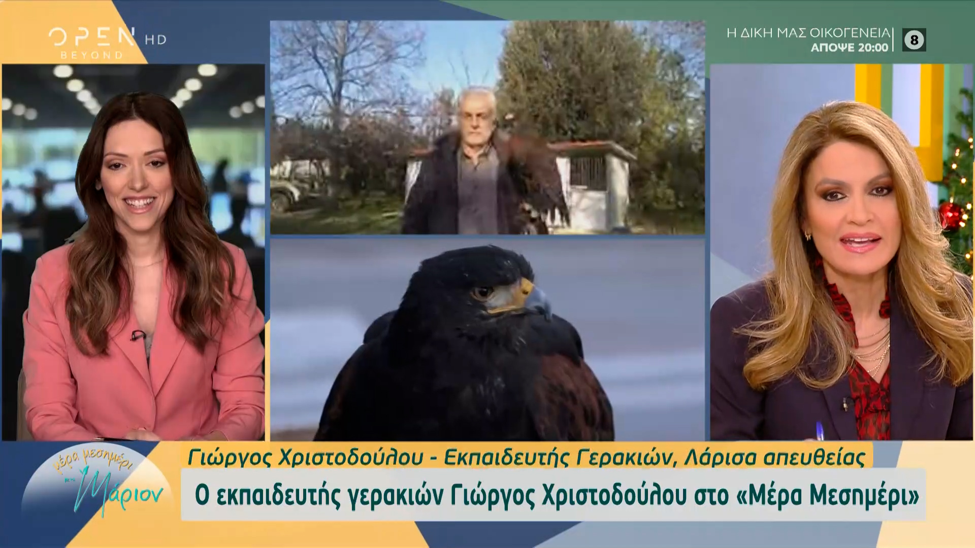 Λάρισα: Βγήκε στο πάρκο με το γεράκι κι έγινε viral | OPEN TV