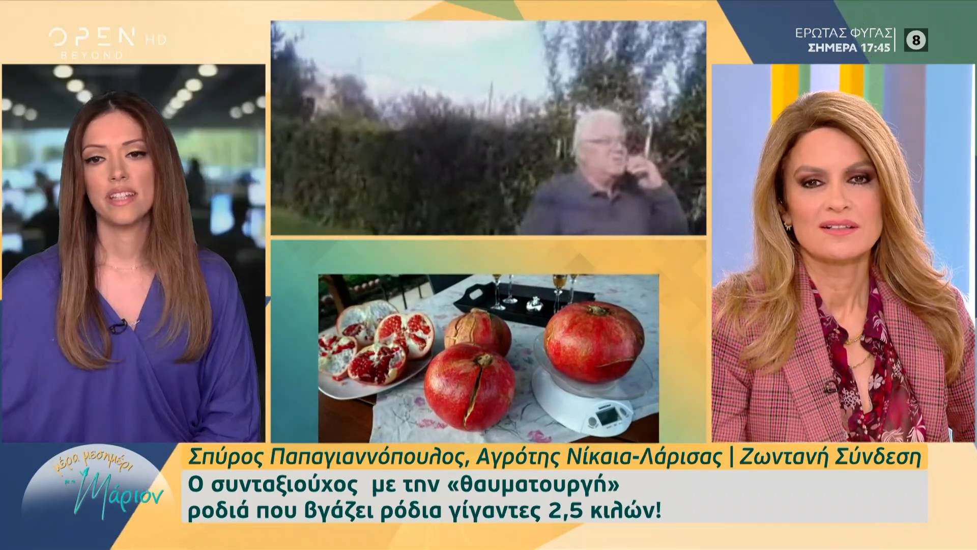 Ο συνταξιούχος με την «θαυματουργή» ροδιά που βγάζει ρόδια-γίγαντες 2,5 ...