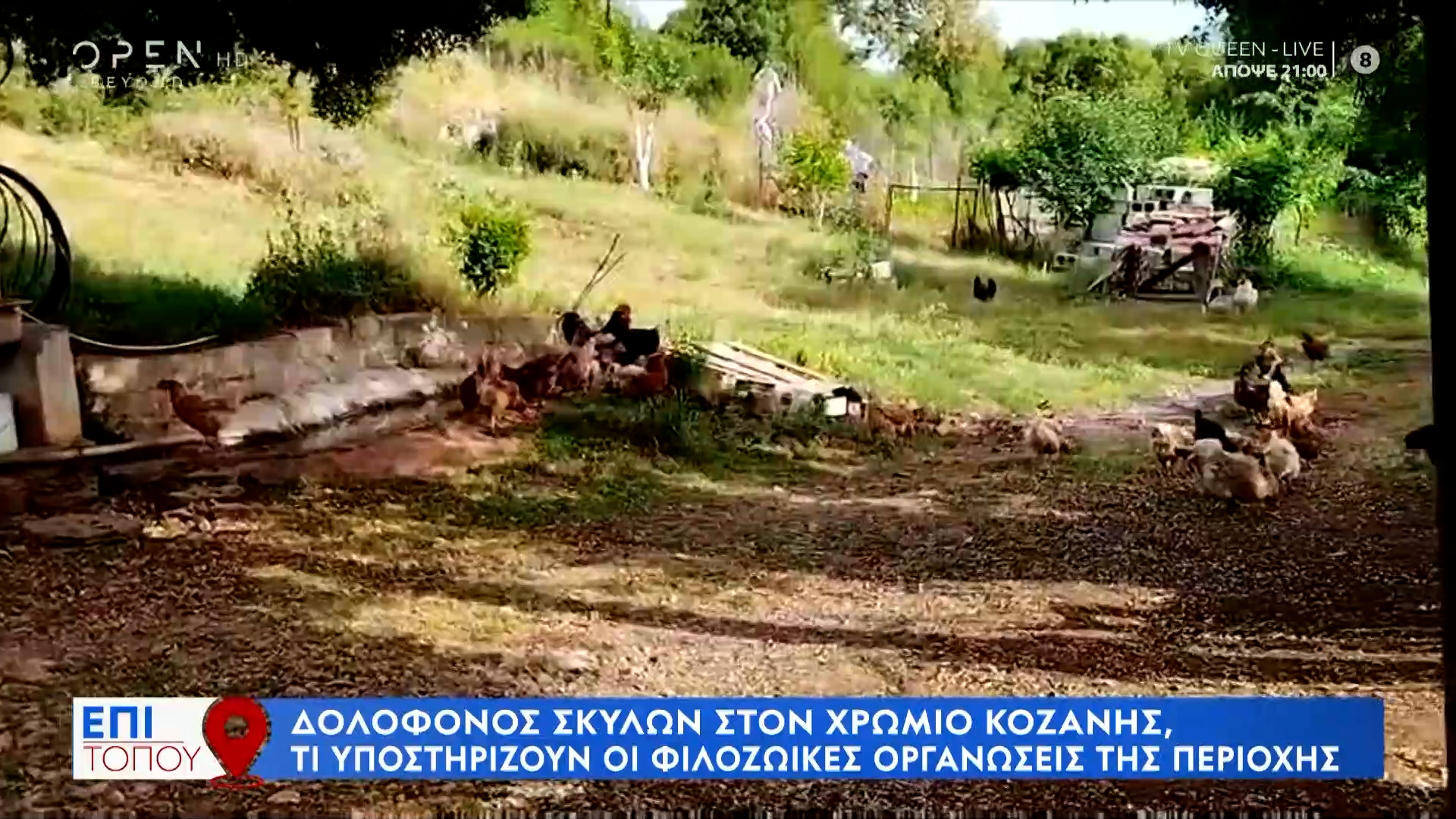 Δολοφόνος σκύλων στο Χρώμιο Κοζάνης – Τι υποστηρίζουν οι φιλοζωικές ...