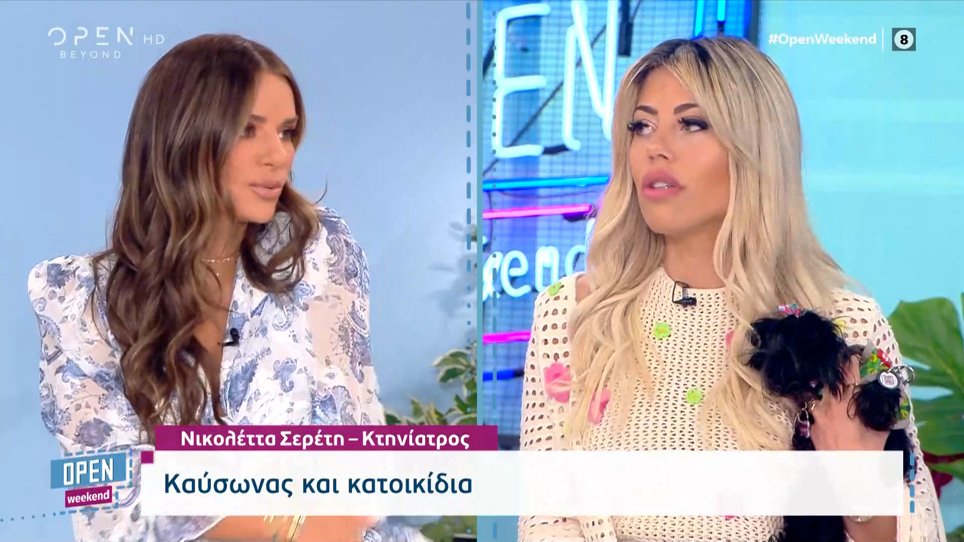 Καύσωνας και κατοικίδια | OPEN TV