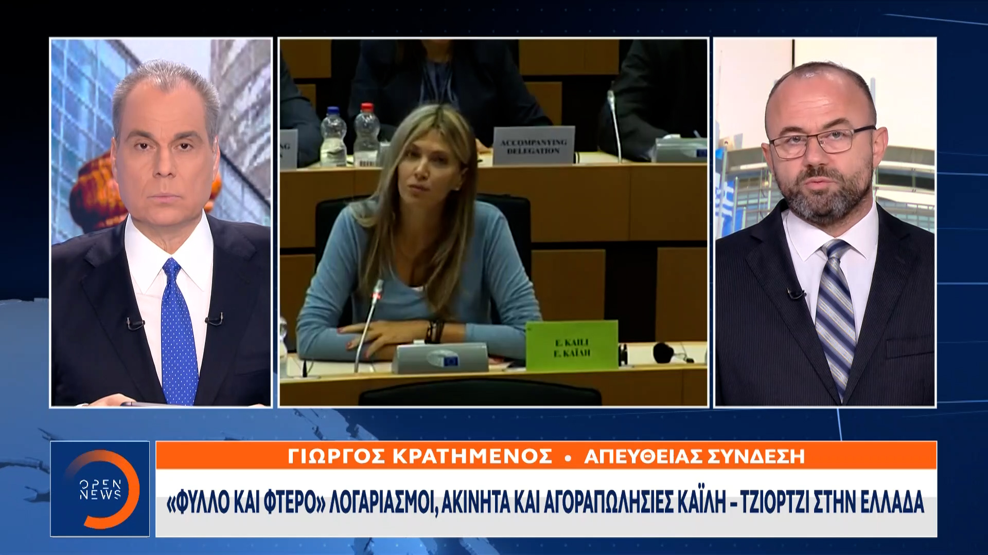 «Φύλλο και φτερό» λογαριασμοί, ακίνητα και αγοραπωλησίες Καϊλή ...