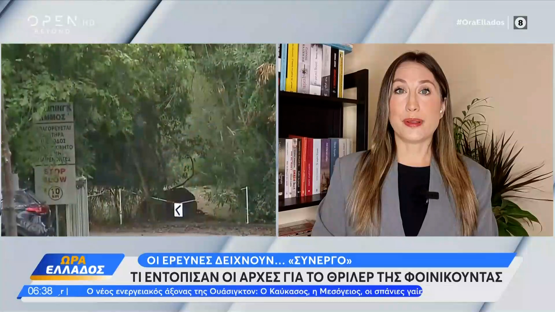 Φοινικούντα: Τι εντόπισαν οι αρχές για τη διπλή δολοφονία | OPEN TV