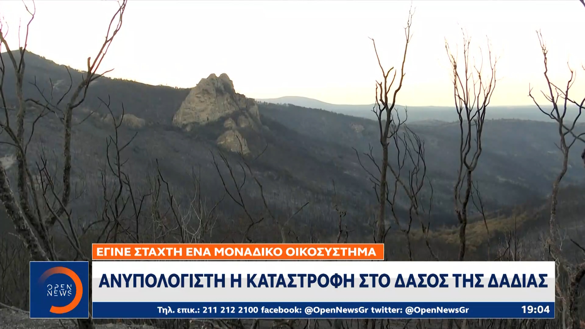 Ανυπολόγιστη η καταστροφή στο δάσος της Δαδιάς - Έγινε στάχτη ένα ...