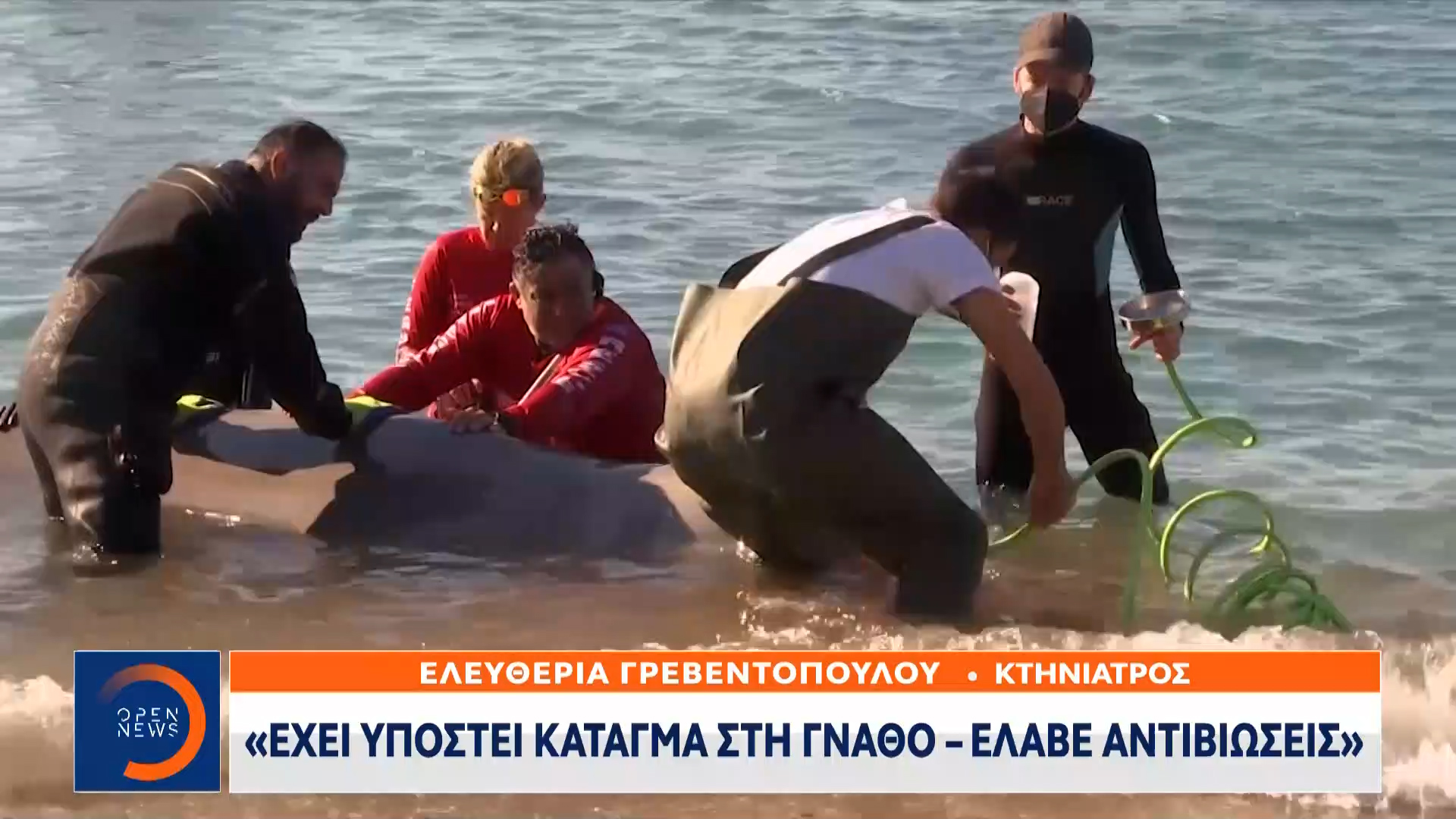 Το συγκινητικό τραγούδι εθελόντριας στην πληγωμένη φάλαινα | OPEN TV