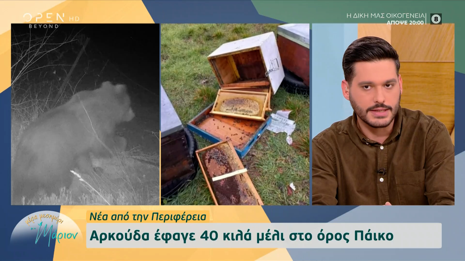 Αρκούδα έφαγε 40 κιλά μέλι στο όρος Πάικο | OPEN TV