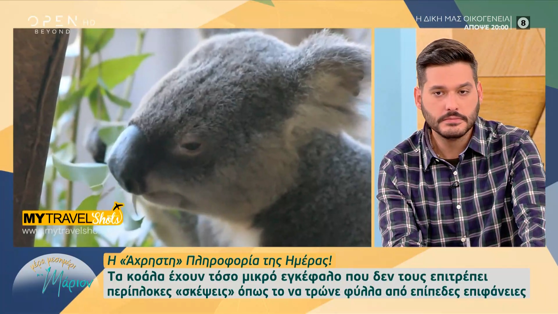 Η «άχρηστη» πληροφορία της ημέρας για τα... κοάλα | OPEN TV