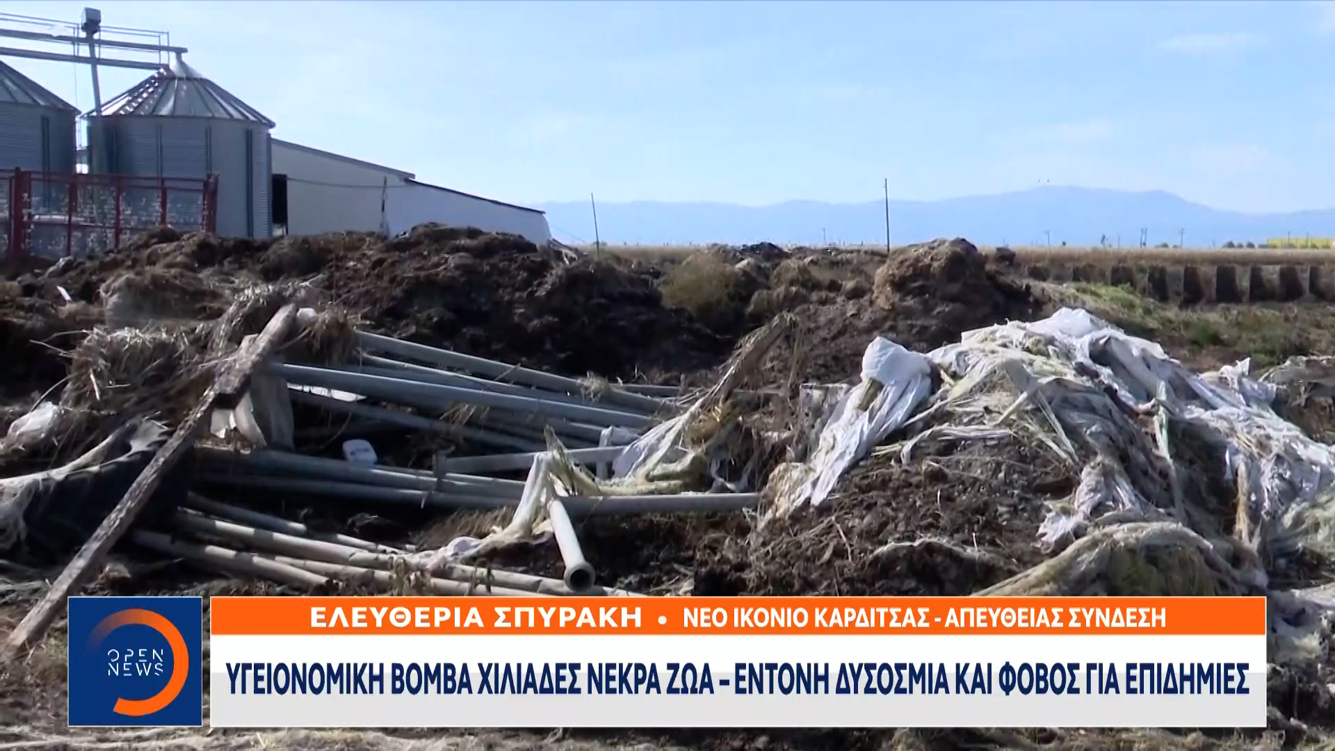 Υγειονομική βόμβα χιλιάδες νεκρά ζώα – Έντονη δυσοσμία και φόβος για ...