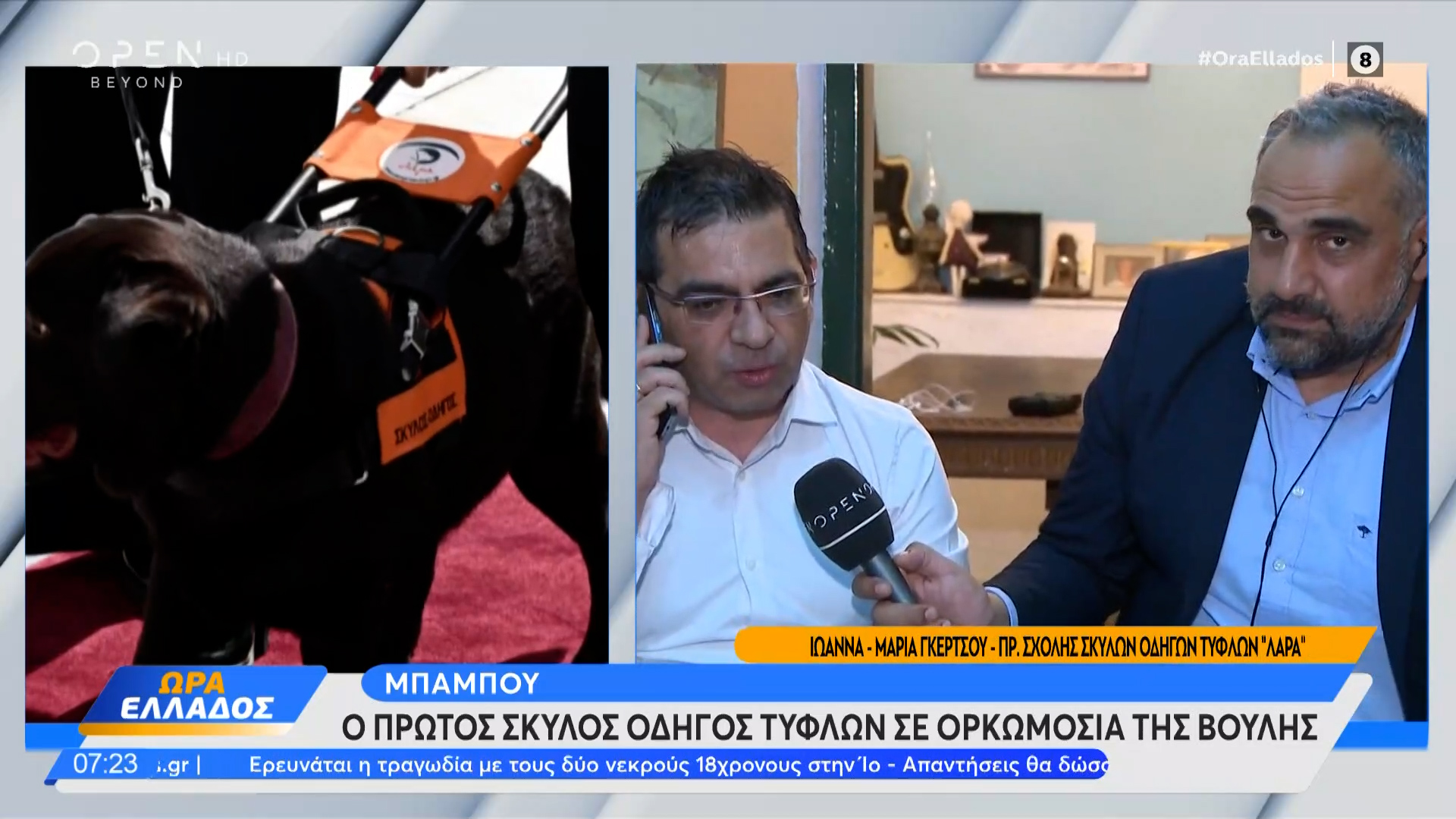 Ο βουλευτής επικρατείας Γιώργος Σταμάτης για τον πρώτο σκύλο οδηγό ...