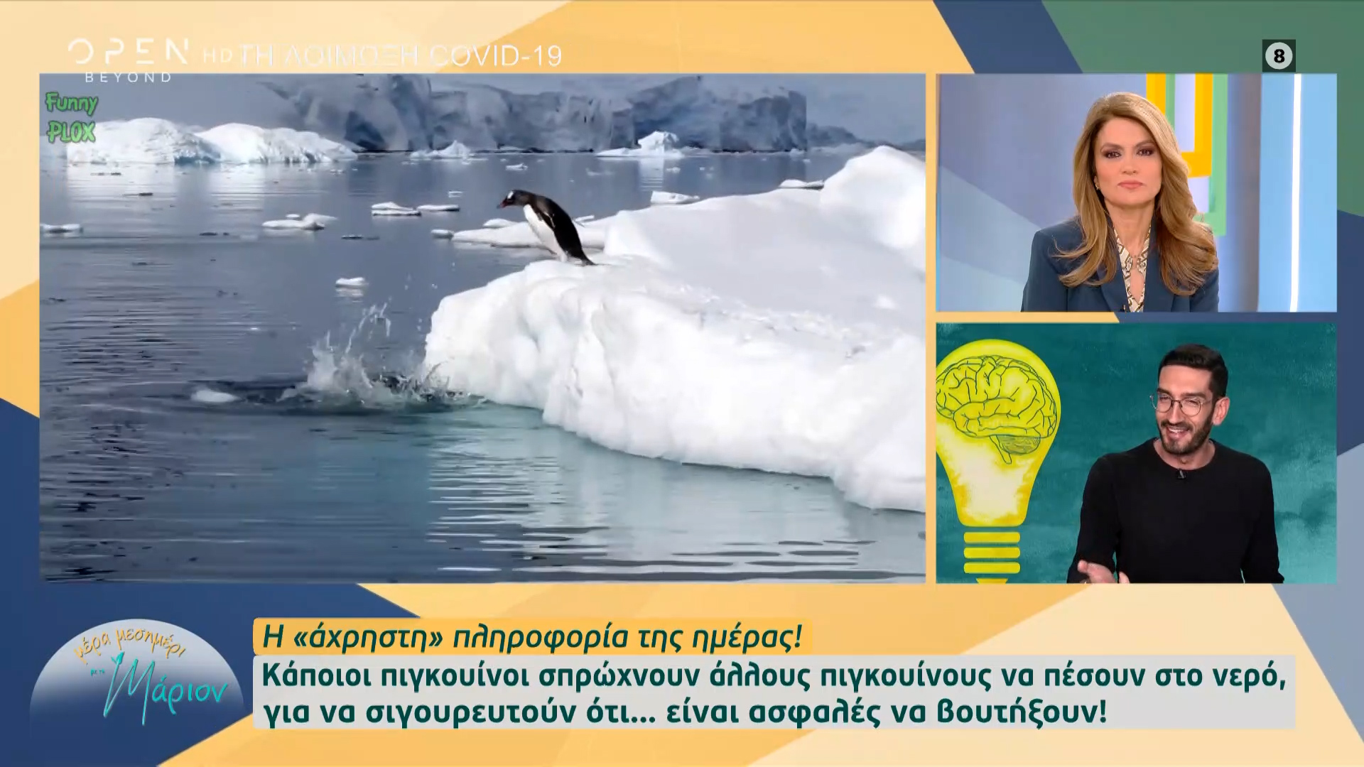 Η άχρηστη πληροφορία για τους πιγκουίνους | OPEN TV