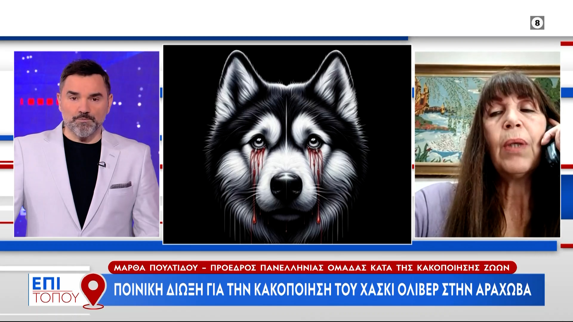 Ποινική δίωξη για την κακοποίηση του χάσκι Όλιβερ στην Αράχωβα – Τι ...