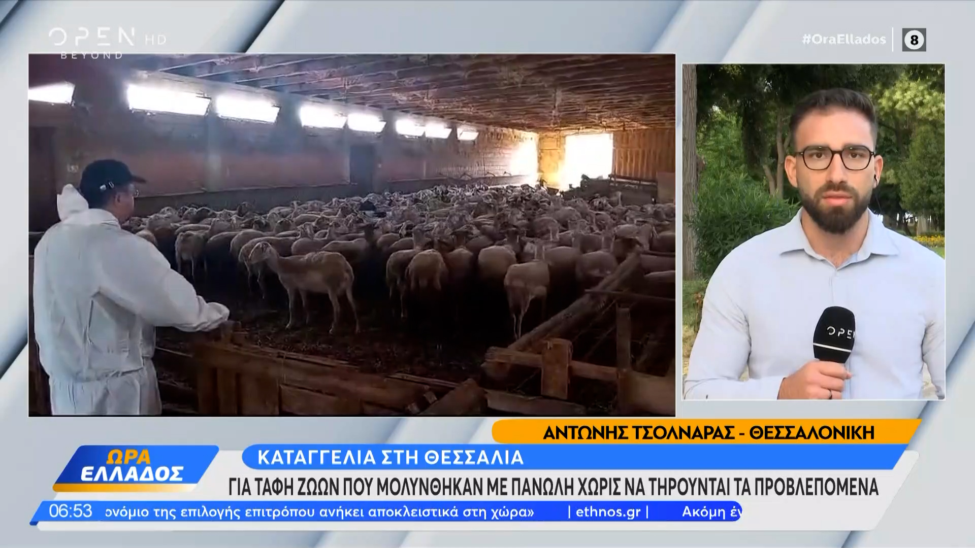 Καταγγελία στη Θεσσαλία: Για ταφή ζώων που μολύνθηκαν με πανώλη χωρις ...