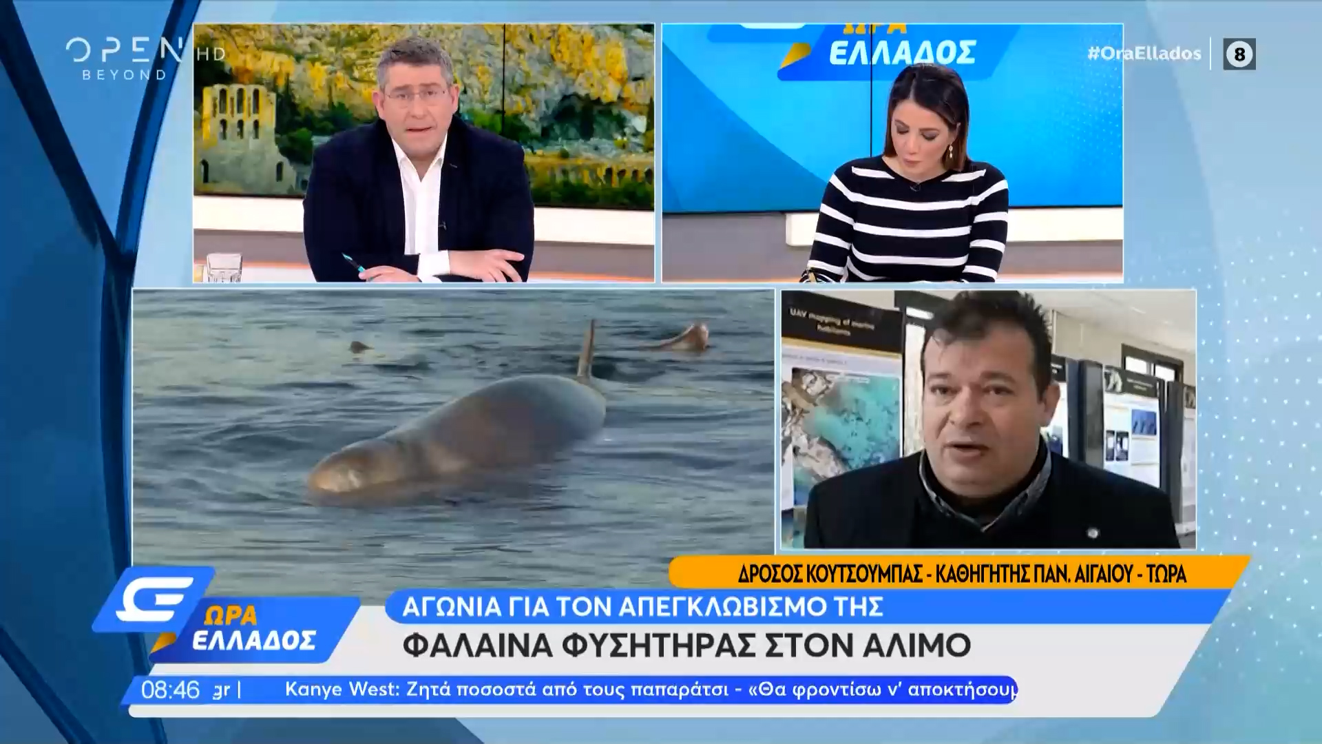 Συγκίνηση και αγωνία για τον απεγκλωβισμό της Φάλαινας στον Άλιμο | OPEN TV