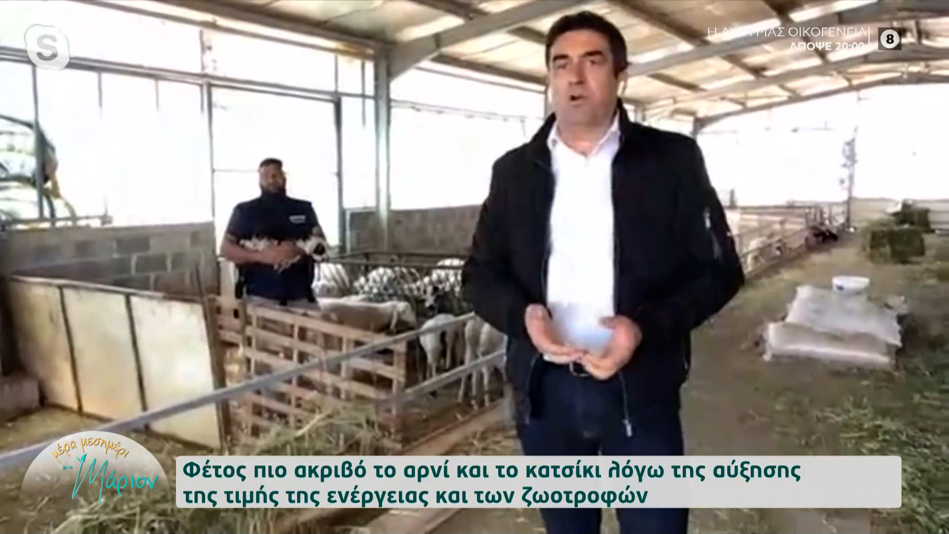 Πιο ακριβό το αρνί και το κατσίκι λόγω της αύξησης της τιμής της ...