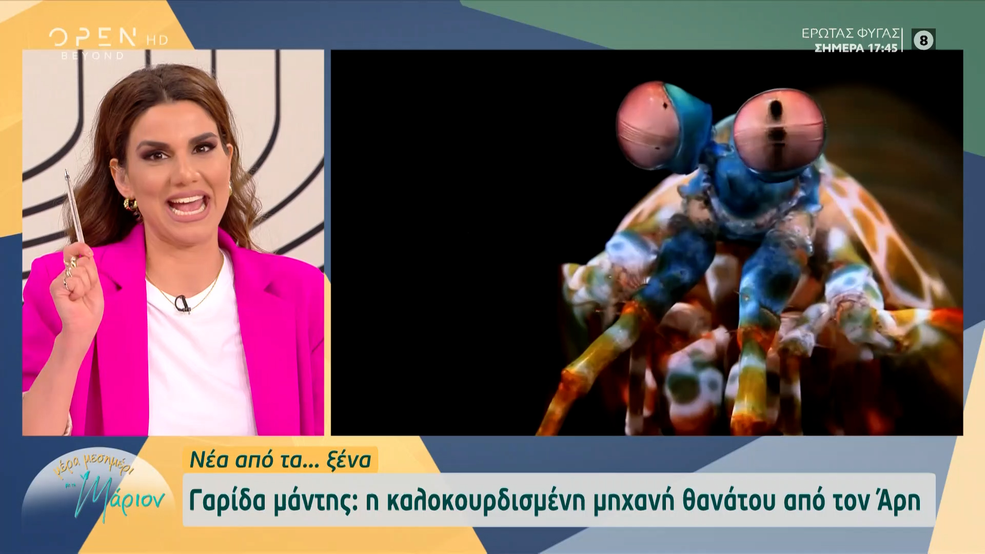 Γαρίδα μάντης: Η καλοκουρδισμένη μηχανή θανάτου από τον Άρη | OPEN TV