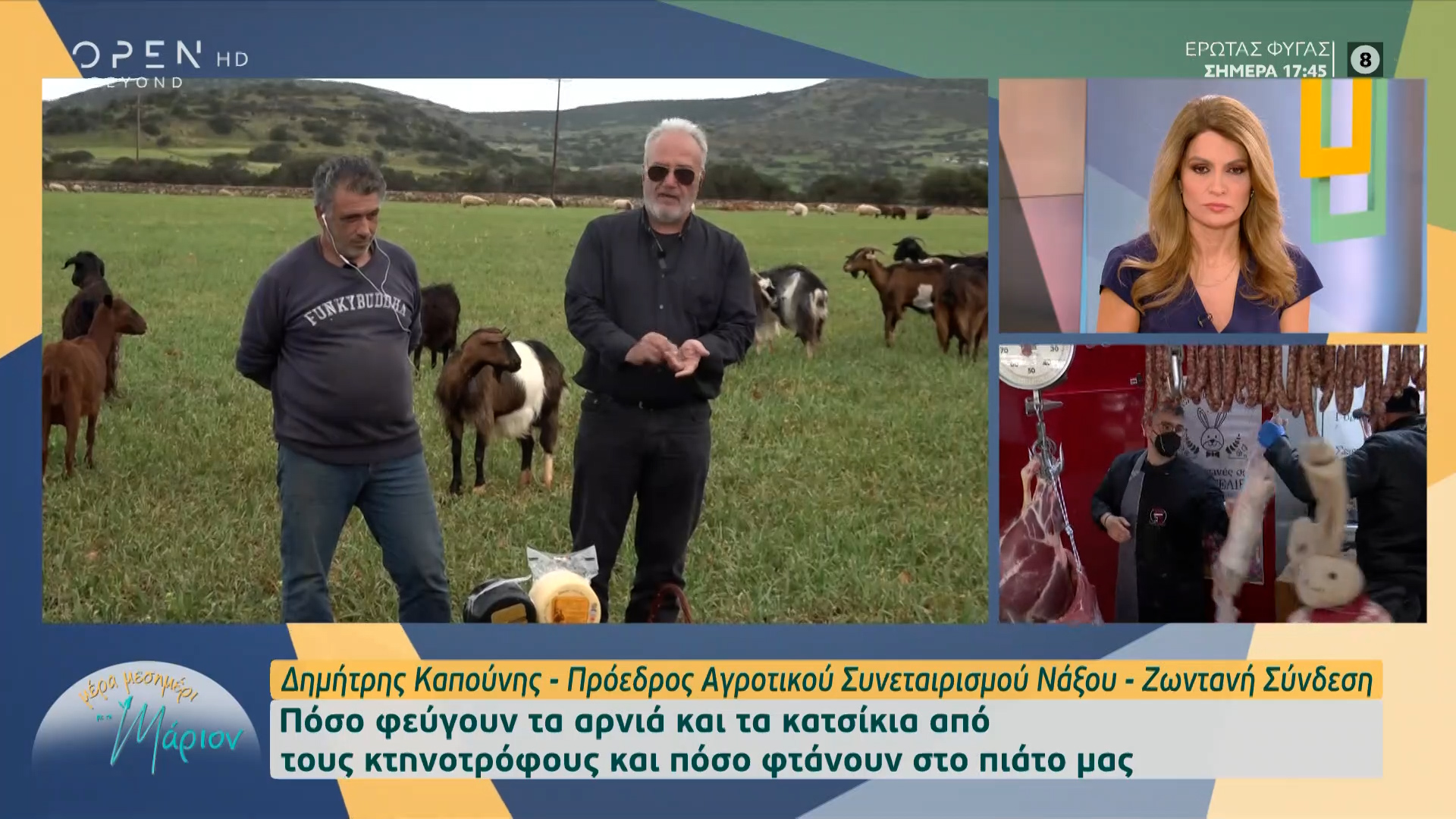 Αντιδρούν οι κτηνοτρόφοι στην ένταξη αρνιών και κατσικιών στο καλάθι ...