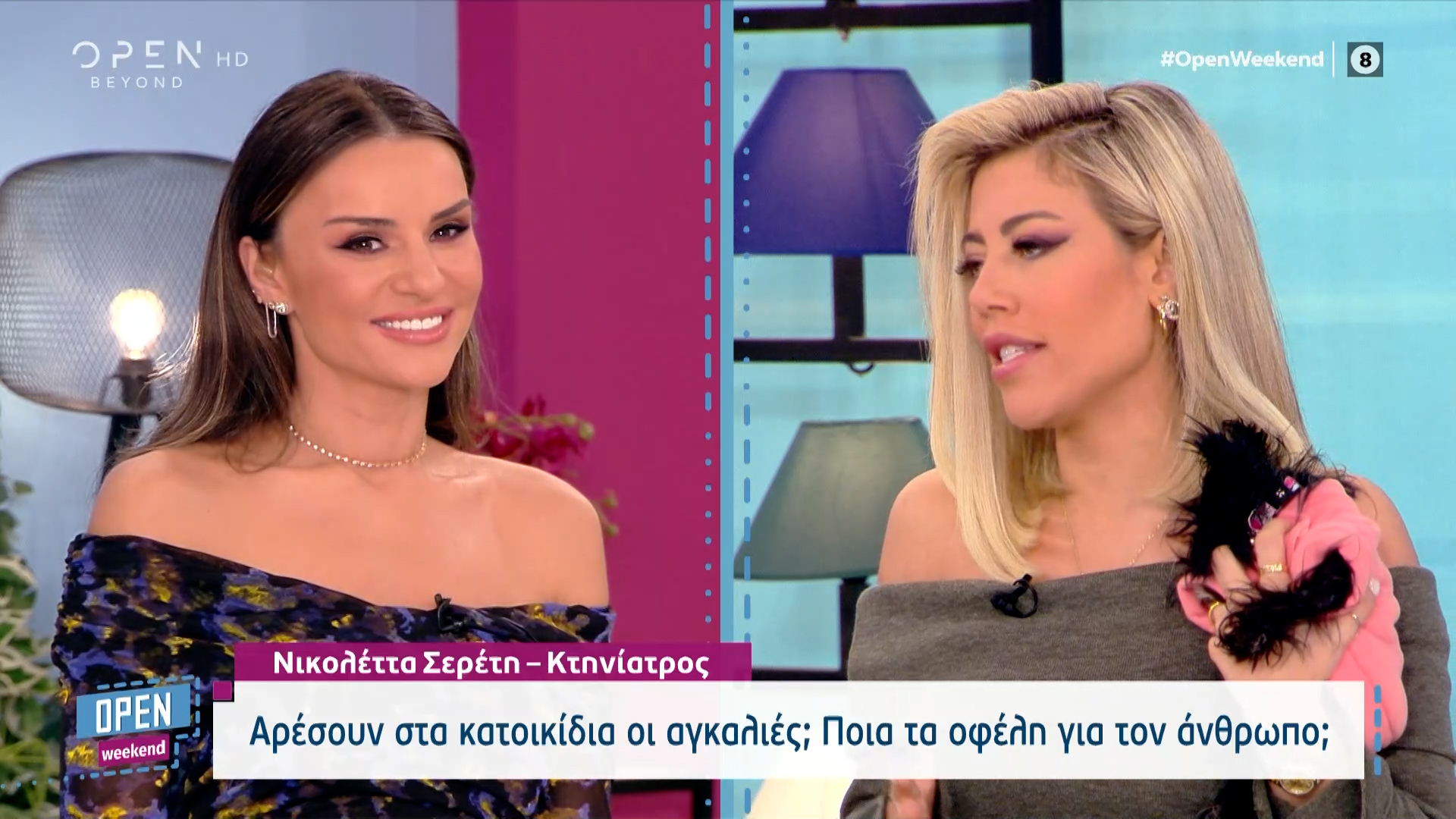 Αρέσουν στα κατοικίδια οι αγκαλιές; Ποια τα οφέλη για τον άνθρωπο ...