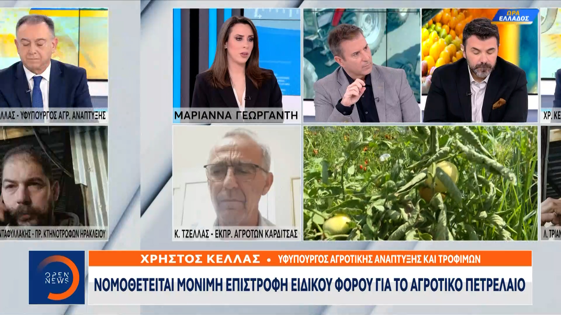 Οι αγρότες διαμαρτύρονται για το υψηλό κόστος παραγωγής | OPEN TV