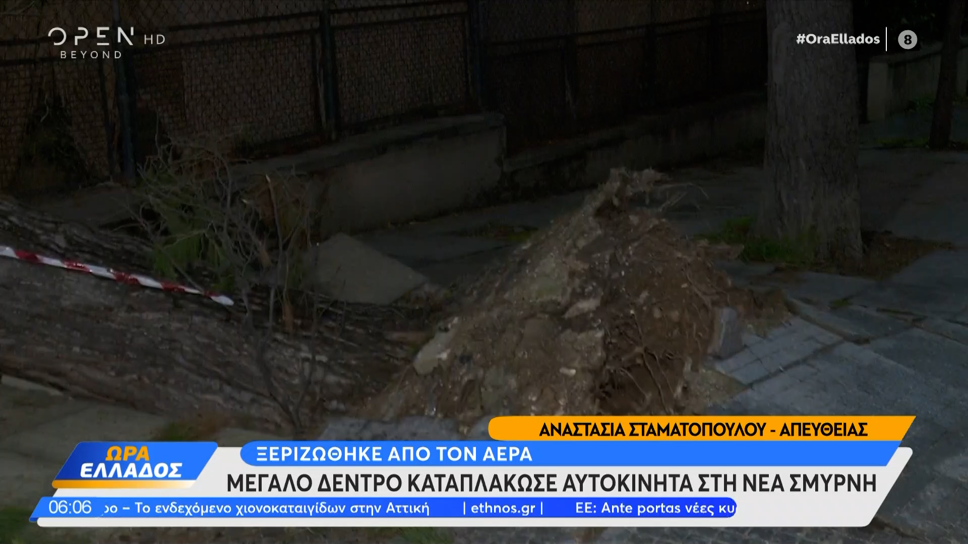Μεγάλο δέντρο καταπλάκωσε αυτοκίνητα στη Νέα Σμύρνη – Ξεριζώθηκε από ...