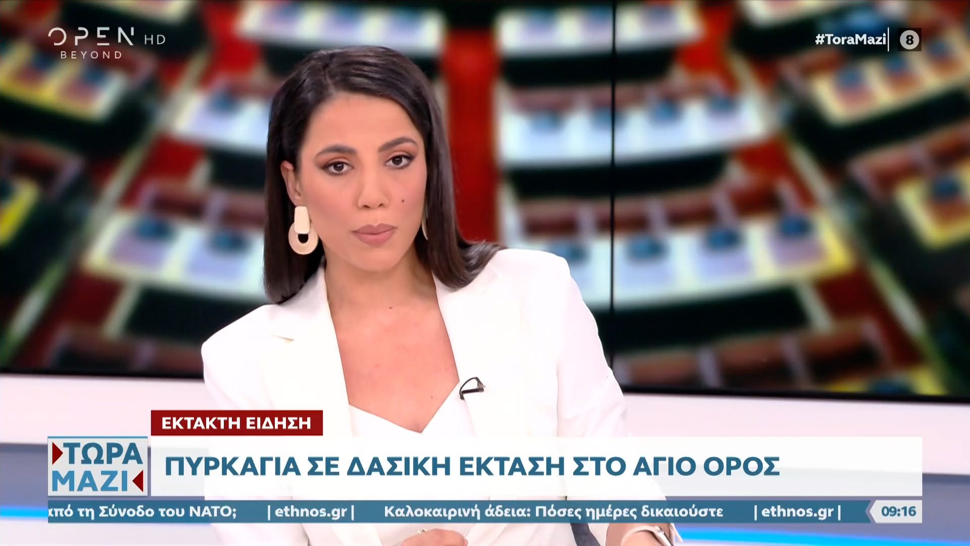 Πυρκαγιά σε δασική έκταση στο Άγιο Όρος | OPEN TV