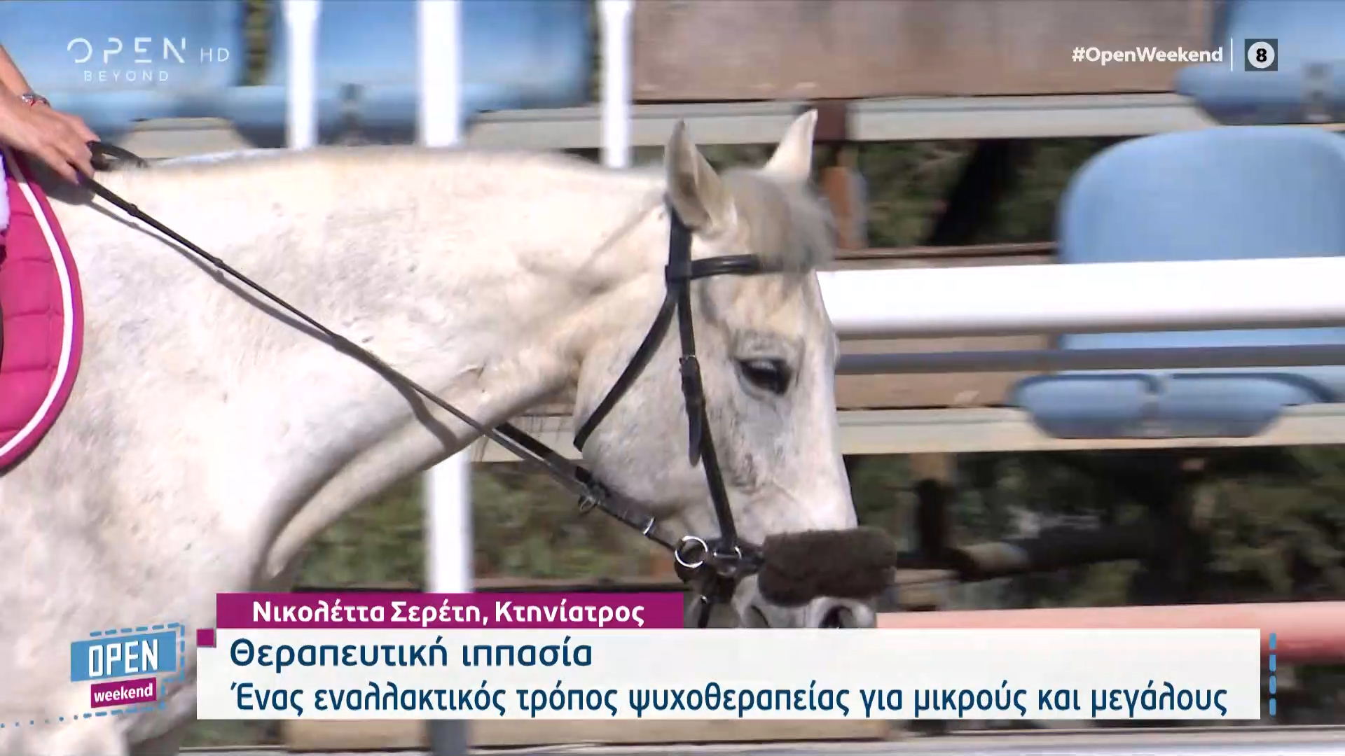 Θεραπευτική ιππασία: Ένας εναλλακτικός τρόπος ψυχοθεραπείας για μικρούς ...