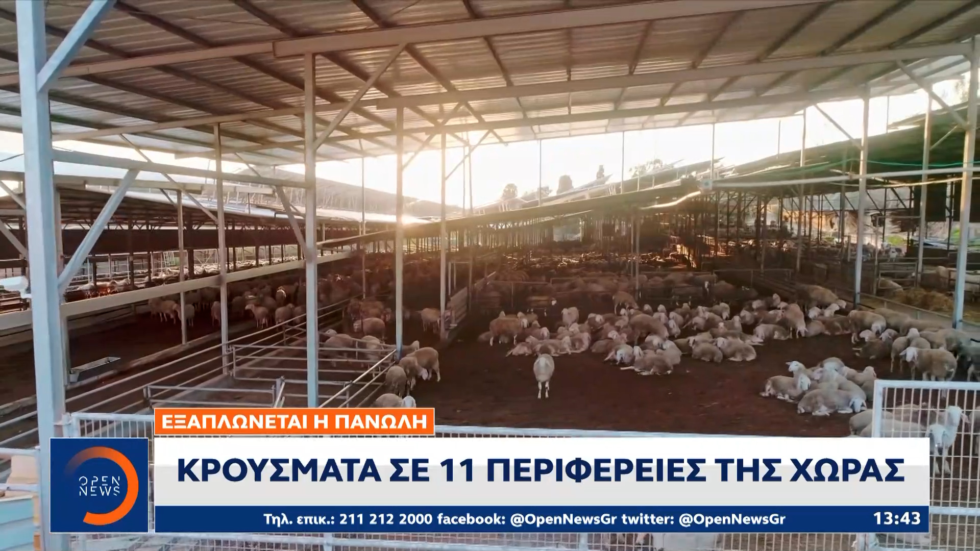 Εξαπλώνεται η πανώλη – Κρούσματα σε 11 περιφέρειες της χώρας | OPEN TV