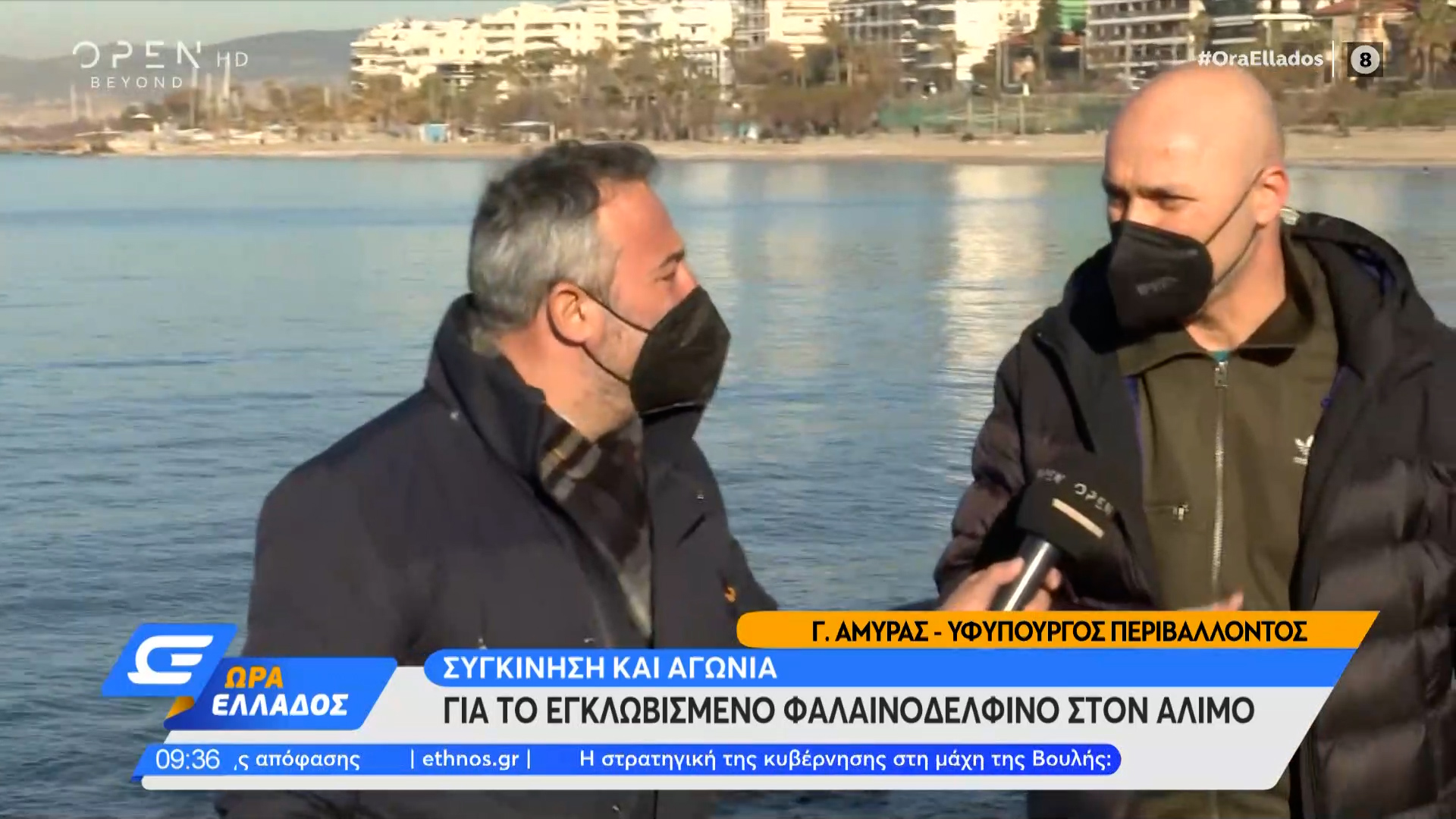 Ο υφυπουργός Περιβάλλοντος Γ. Αμυράς για τη φάλαινα στον Άλιμο - «Το ...