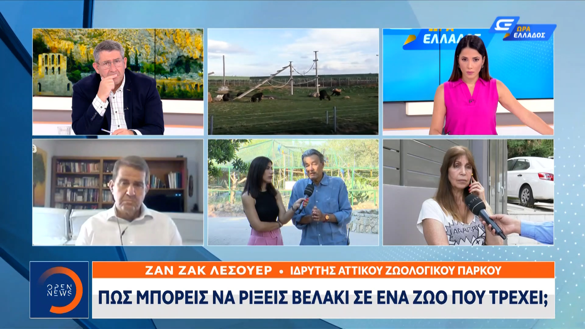 Αττικό Ζωολογικό πάρκο: Σφοδρή κόντρα για τη θανάτωση του χιμπατζή ...