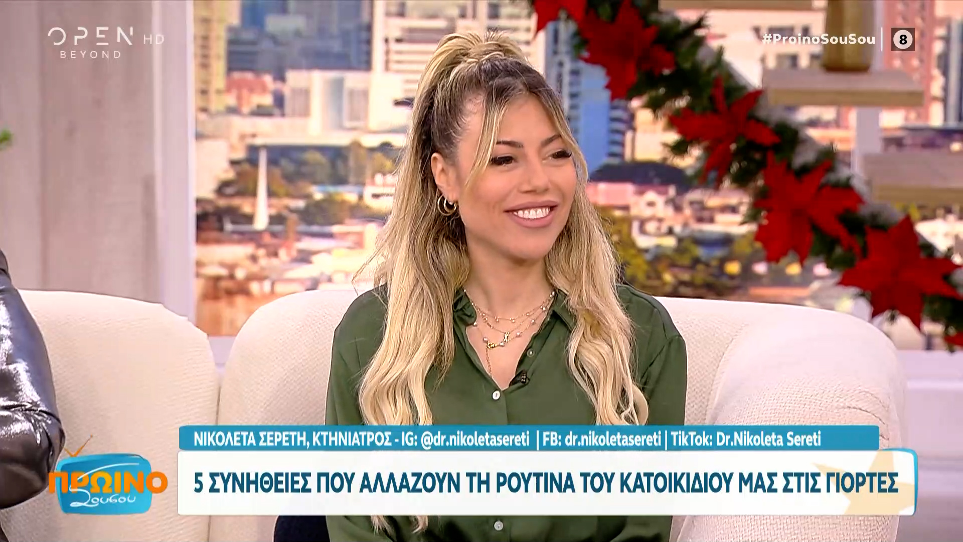 5 συνήθειες που αλλάζουν τη ρουτίνα του κατοικιδίου μας στις γιορτές ...