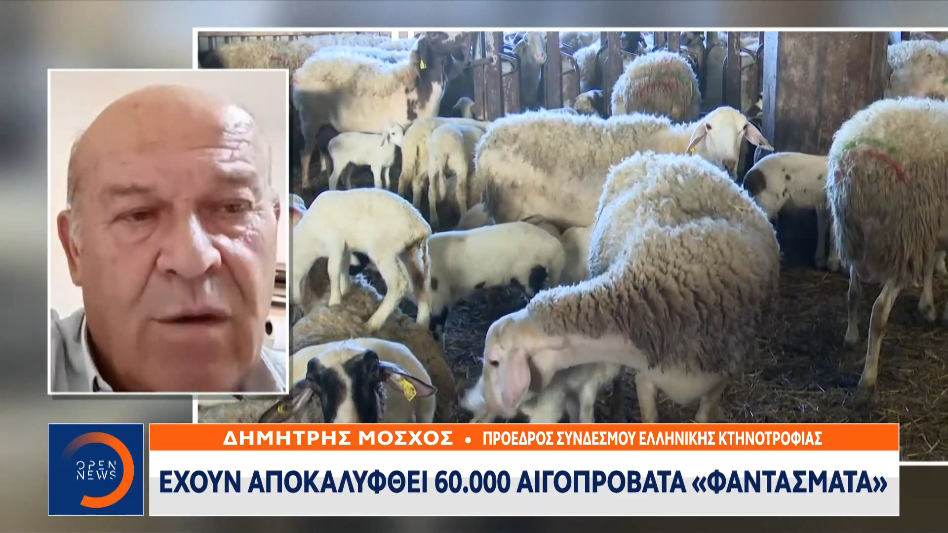Ευλογιά: Ο εμβολιασμός θα αποκαλύψει το μέγεθος του σκανδάλου στον ...